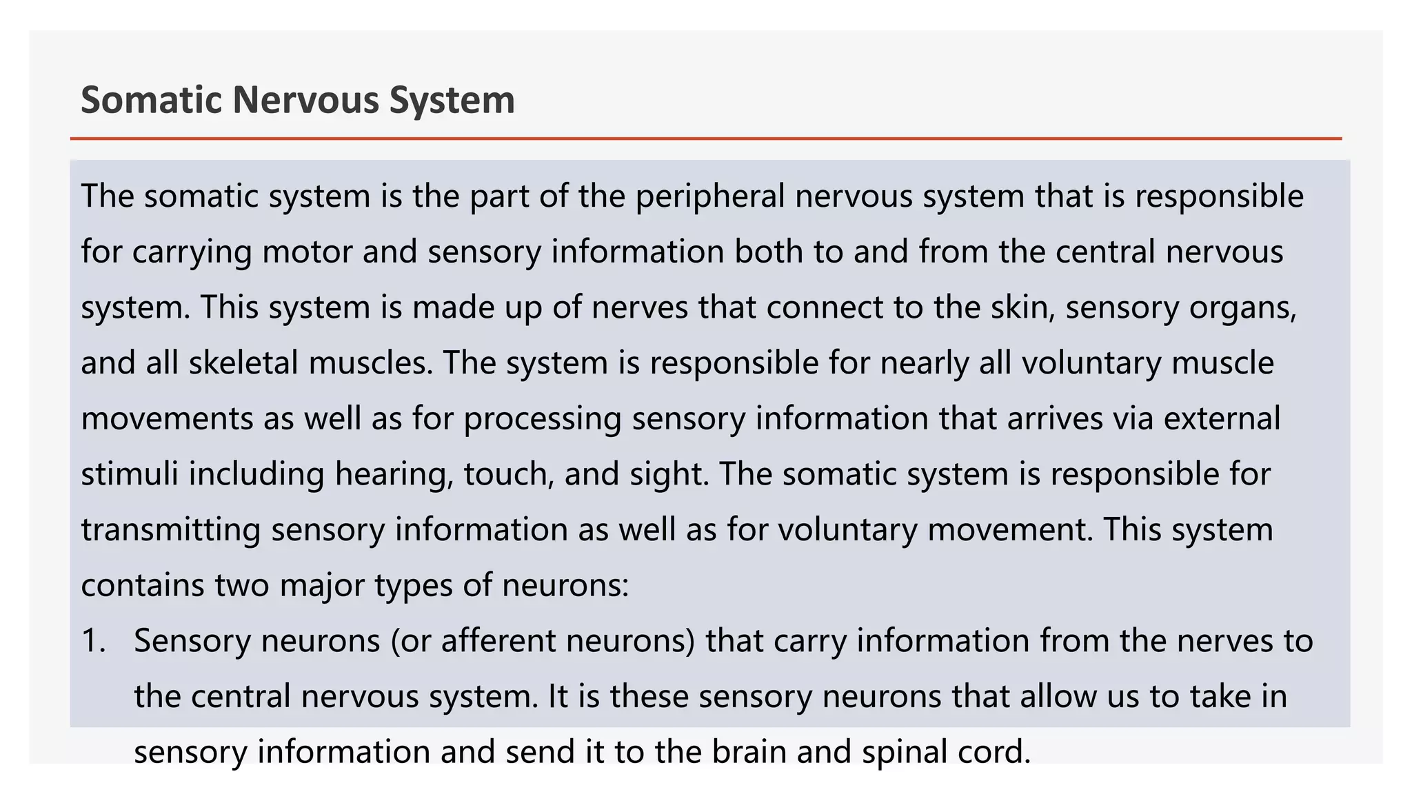 Somatic Nervous System.pptx