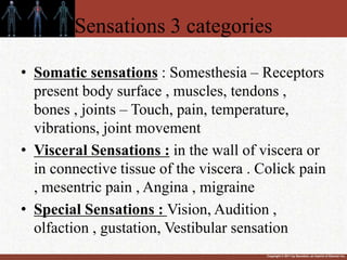 Somatic sensory system | PPTX