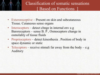 Somatic sensory system | PPTX