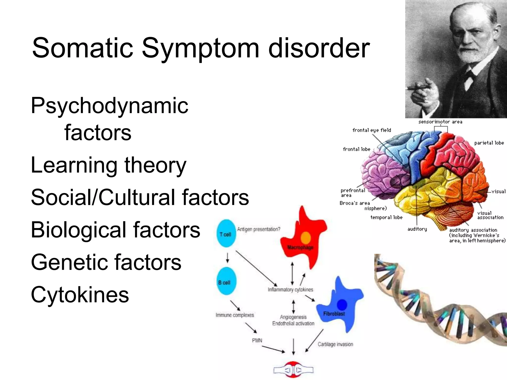 somatic_symptoms_and_related_disorders.ppt | Physical Therapy | Wellness