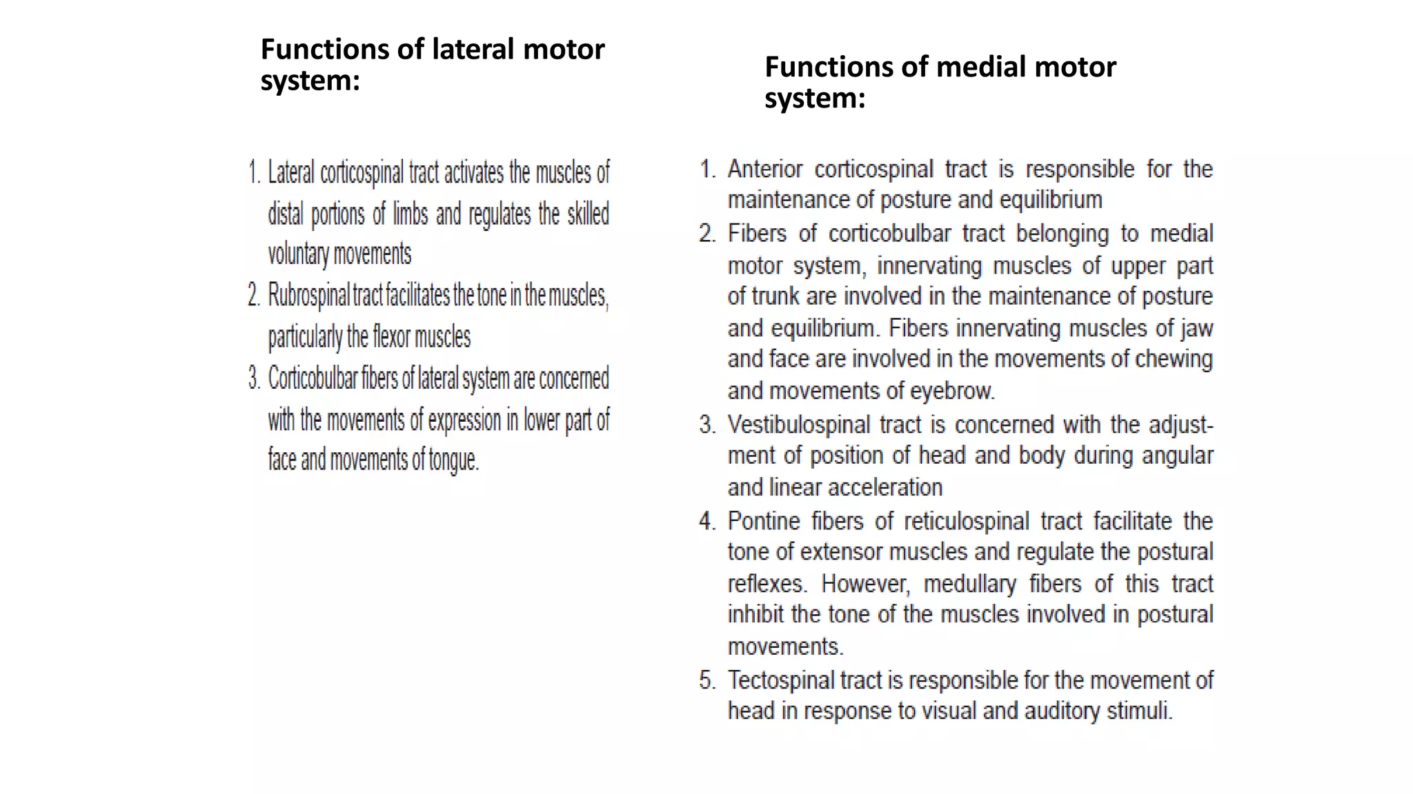 somatomotor system.pptx