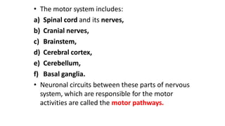 somatomotor system.pptx
