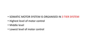 somatomotor system.pptx