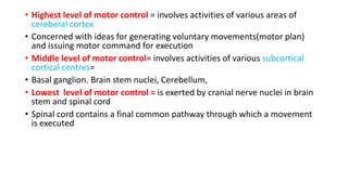 somatomotor system.pptx