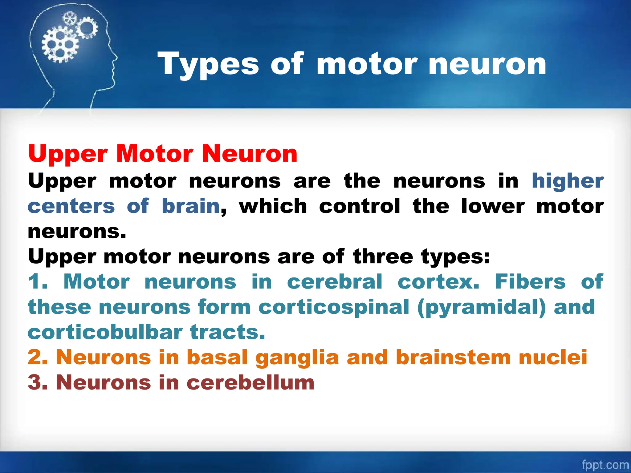 SOMATOMOTOR SYSTEM, TYPES OF MOTOR NEURON & DESCENDING TRACTS.pptx