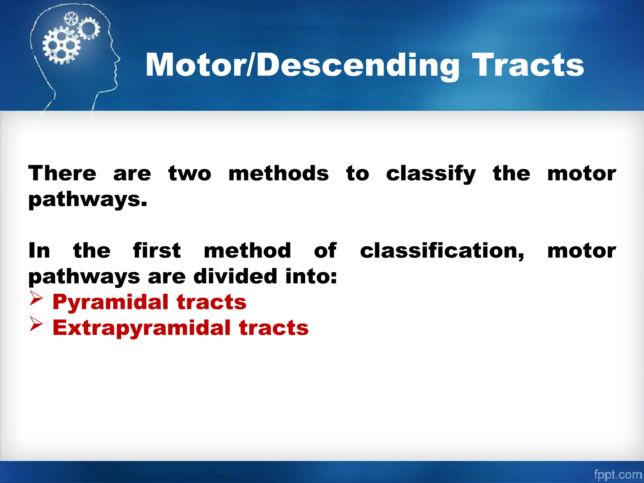 SOMATOMOTOR SYSTEM, TYPES OF MOTOR NEURON & DESCENDING TRACTS.pptx