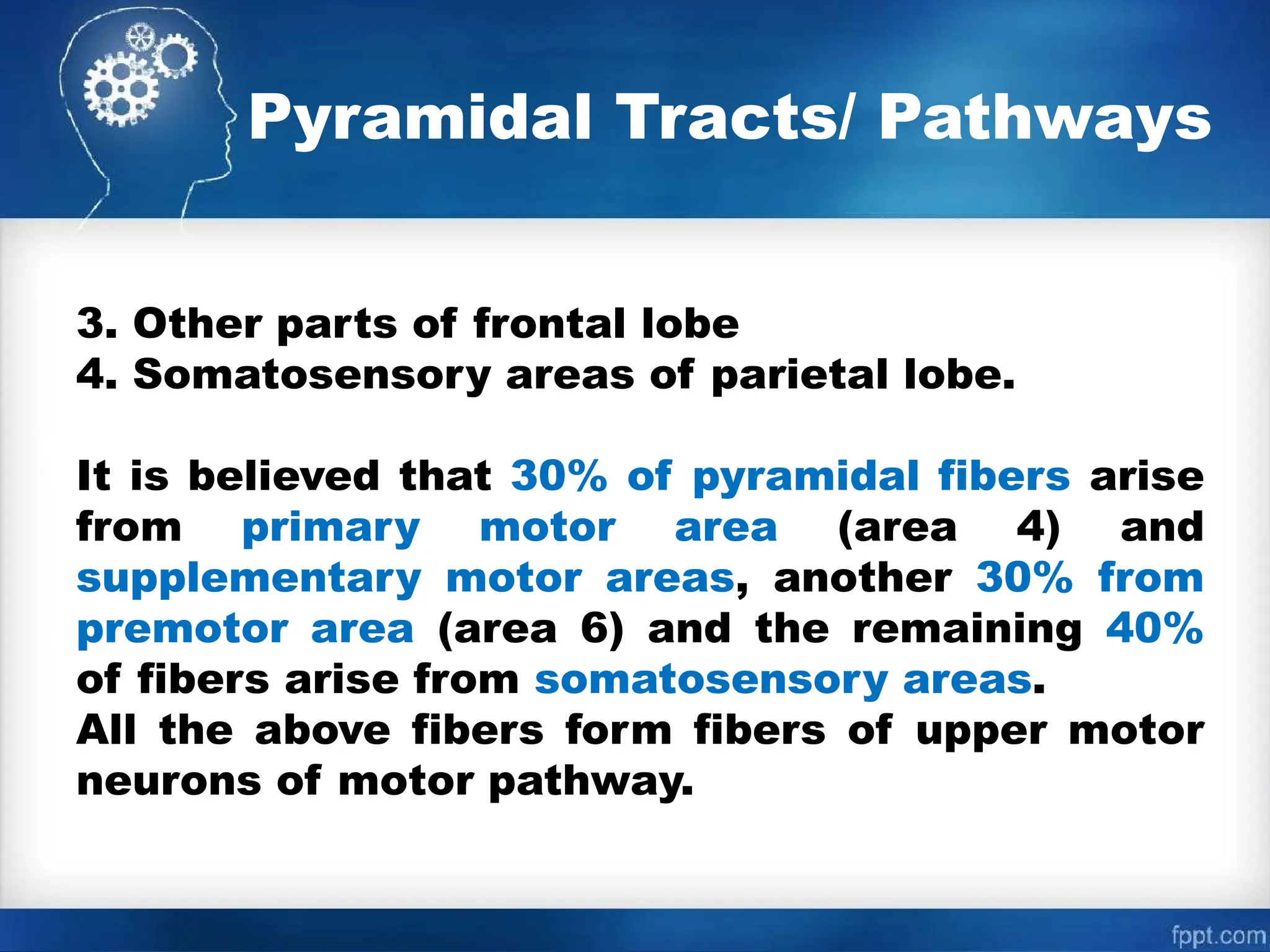SOMATOMOTOR SYSTEM, TYPES OF MOTOR NEURON & DESCENDING TRACTS.pptx