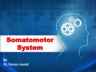 SOMATOMOTOR SYSTEM, TYPES OF MOTOR NEURON & DESCENDING TRACTS.pptx