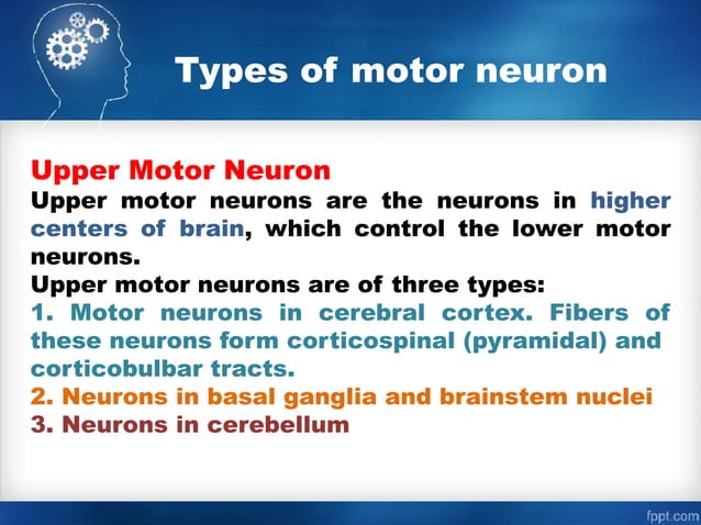 SOMATOMOTOR SYSTEM, TYPES OF MOTOR NEURON & DESCENDING TRACTS.pptx