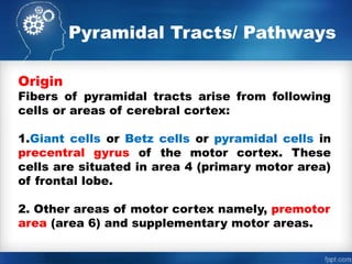 SOMATOMOTOR SYSTEM, TYPES OF MOTOR NEURON & DESCENDING TRACTS.pptx