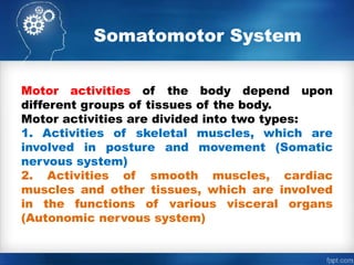 SOMATOMOTOR SYSTEM, TYPES OF MOTOR NEURON & DESCENDING TRACTS.pptx