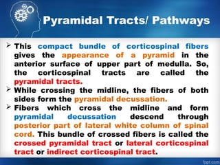 SOMATOMOTOR SYSTEM, TYPES OF MOTOR NEURON & DESCENDING TRACTS.pptx