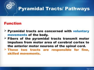 SOMATOMOTOR SYSTEM, TYPES OF MOTOR NEURON & DESCENDING TRACTS.pptx