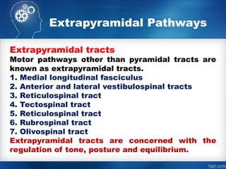 SOMATOMOTOR SYSTEM, TYPES OF MOTOR NEURON & DESCENDING TRACTS.pptx