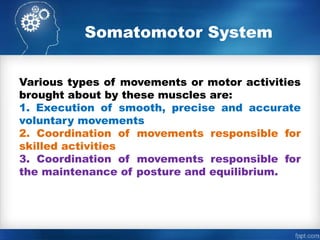 SOMATOMOTOR SYSTEM, TYPES OF MOTOR NEURON & DESCENDING TRACTS.pptx