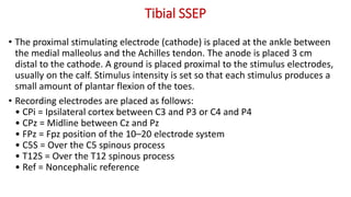 Somatosensory evoked potential | PPTX
