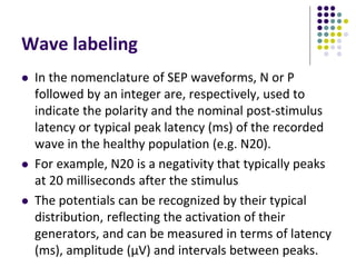 Somatosensory evoked potentials | PPTX