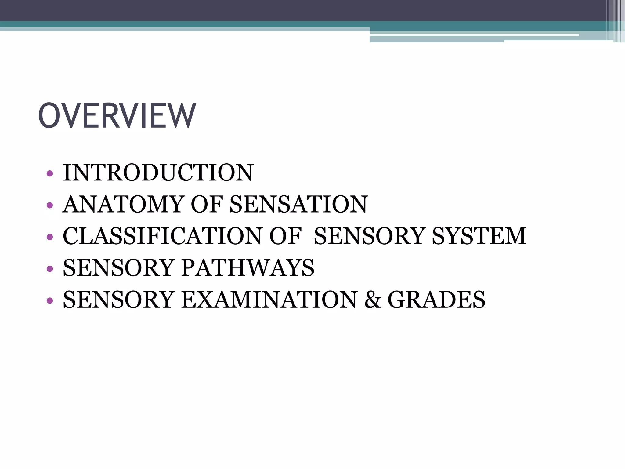 SOMATO SENSORY EXAMINATION-1.pptx