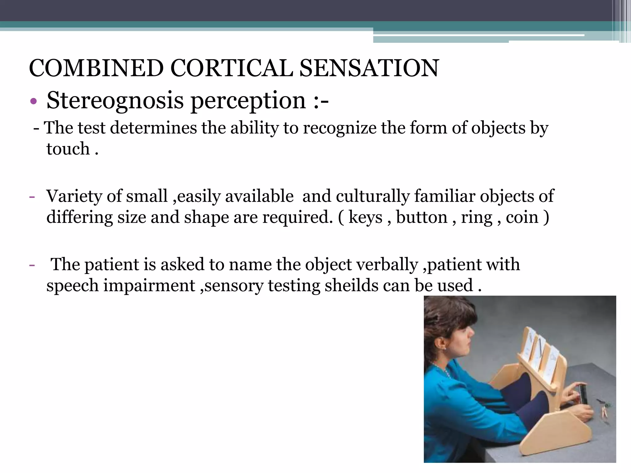 SOMATO SENSORY EXAMINATION-1.pptx