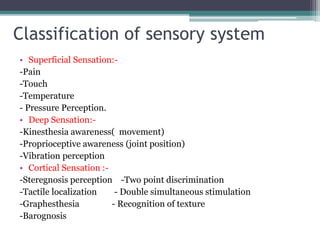 SOMATO SENSORY EXAMINATION-1.pptx | First Aid | Injuries