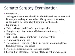 SOMATO SENSORY EXAMINATION-1.pptx | First Aid | Injuries
