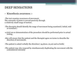 SOMATO SENSORY EXAMINATION-1.pptx | First Aid | Injuries