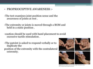 SOMATO SENSORY EXAMINATION-1.pptx | First Aid | Injuries