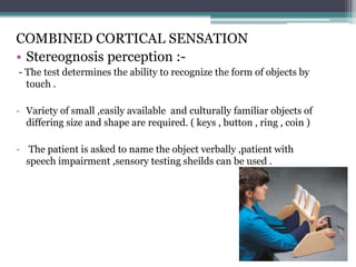 SOMATO SENSORY EXAMINATION-1.pptx | First Aid | Injuries