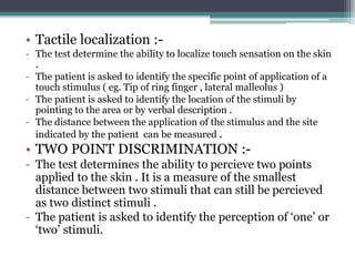 SOMATO SENSORY EXAMINATION-1.pptx | First Aid | Injuries