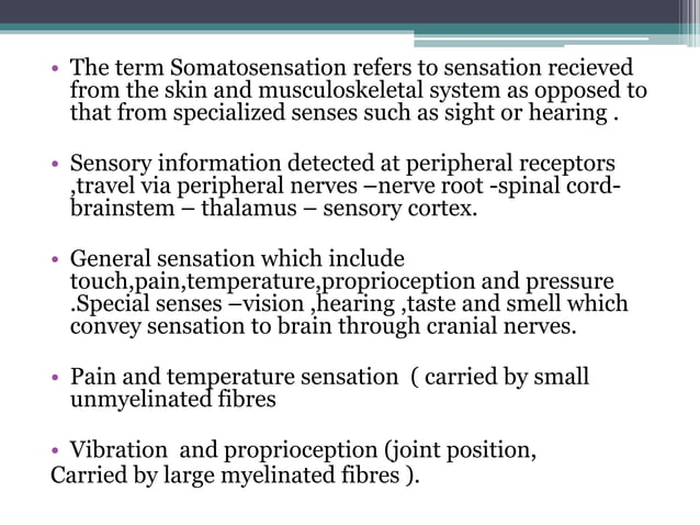 SOMATO SENSORY EXAMINATION-1.pptx | First Aid | Injuries