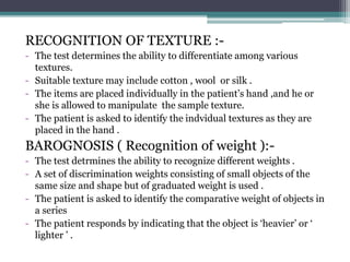 SOMATO SENSORY EXAMINATION-1.pptx | First Aid | Injuries