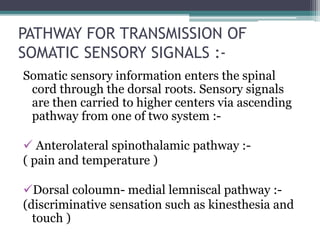 SOMATO SENSORY EXAMINATION-1.pptx | First Aid | Injuries