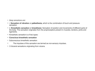 Somatosensory_Nervous system_components_functions | PPTX