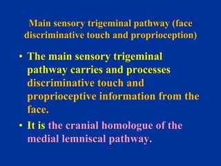 Somatosensory pathway | PPSX | Brain and Nervous System Disorders ...