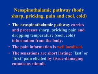 Somatosensory pathway | PPSX | Brain and Nervous System Disorders ...