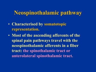 Somatosensory pathway | PPSX