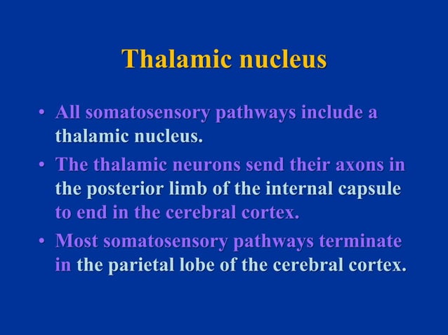 Somatosensory pathway | PPSX | Brain and Nervous System Disorders ...