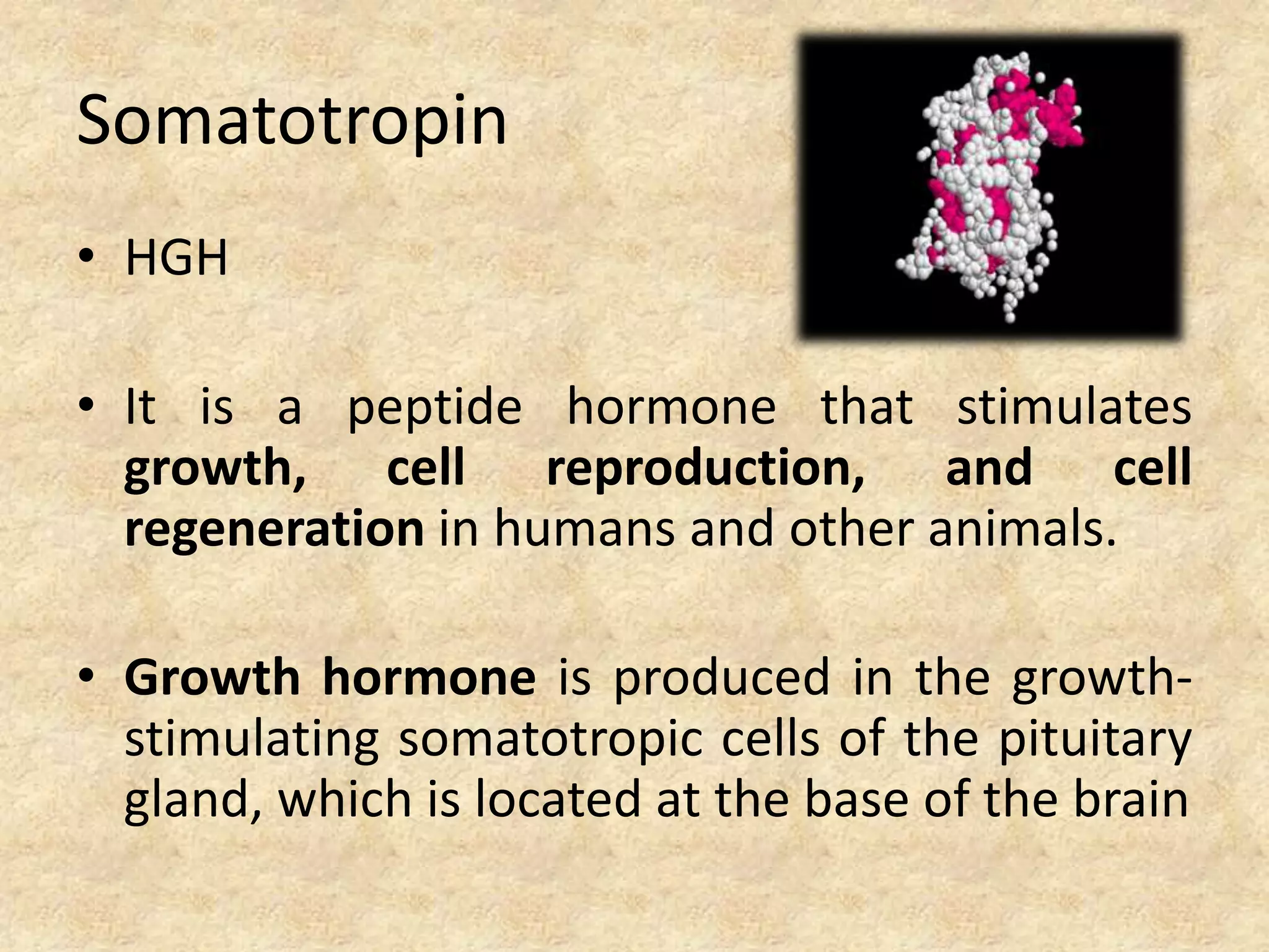 Genetically Modified organisms in Somatotropin production | PPTX