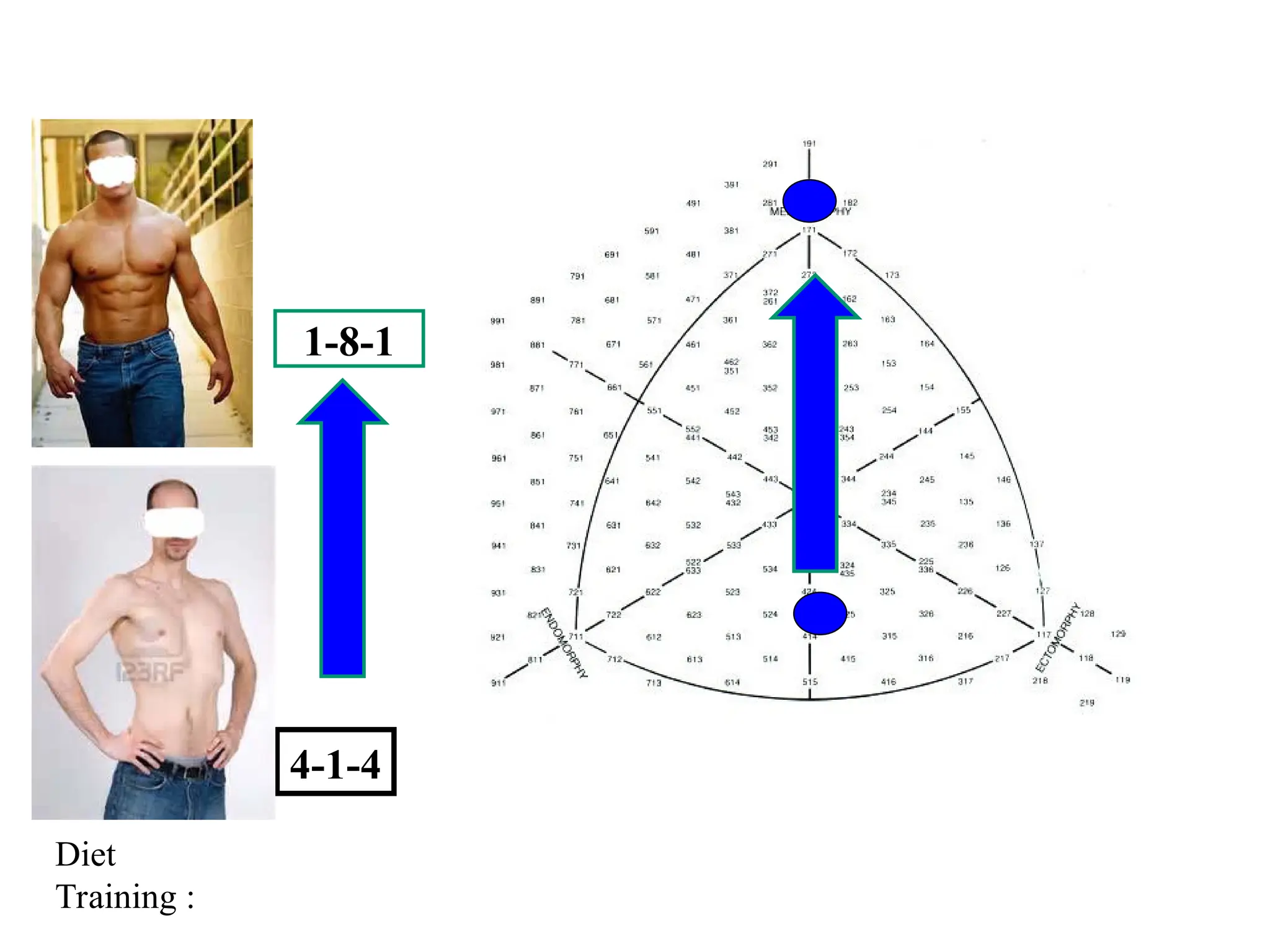 Somatotype-MGM ......................(1).ppt