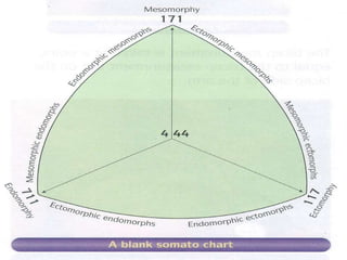 Somatotypes & doms | PPT