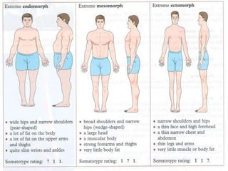 Somatotypes & doms | PPT