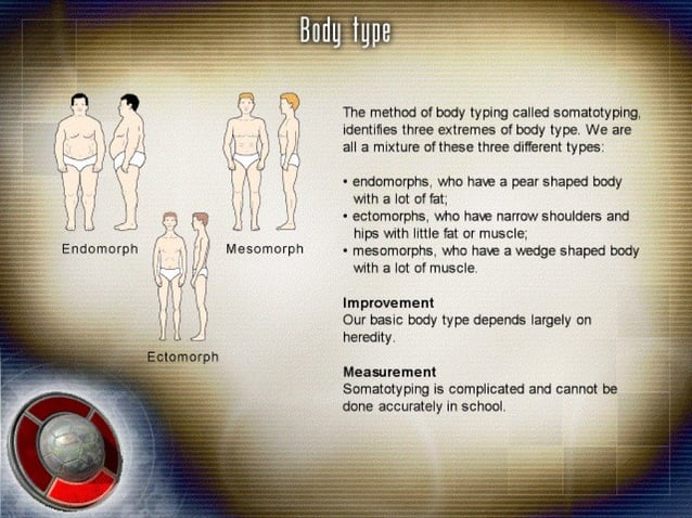 Somatotypes people | PPT