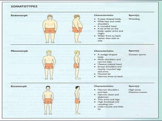 Somatotypes people | PPT