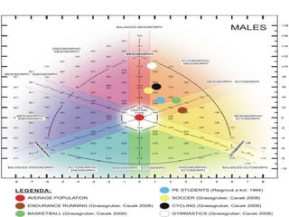 Somatotyping | PPTX