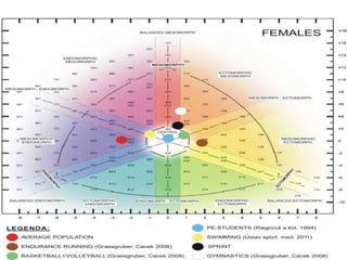 Somatotyping | PPTX