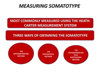 Somatotyping | PPT