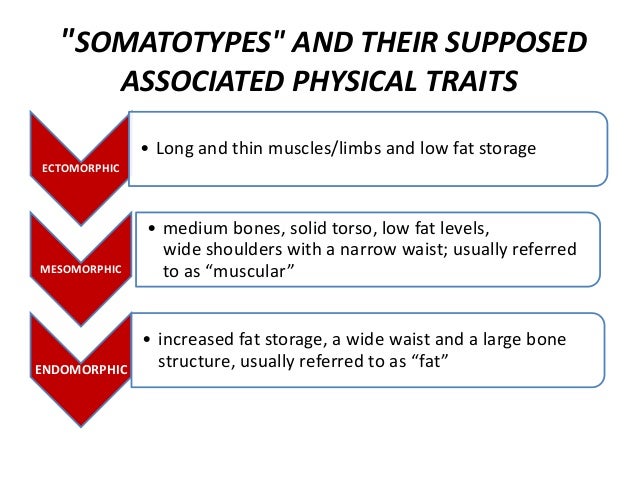 Somatotyping