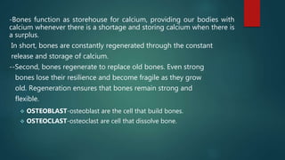 bone tissue engineering | PPTX