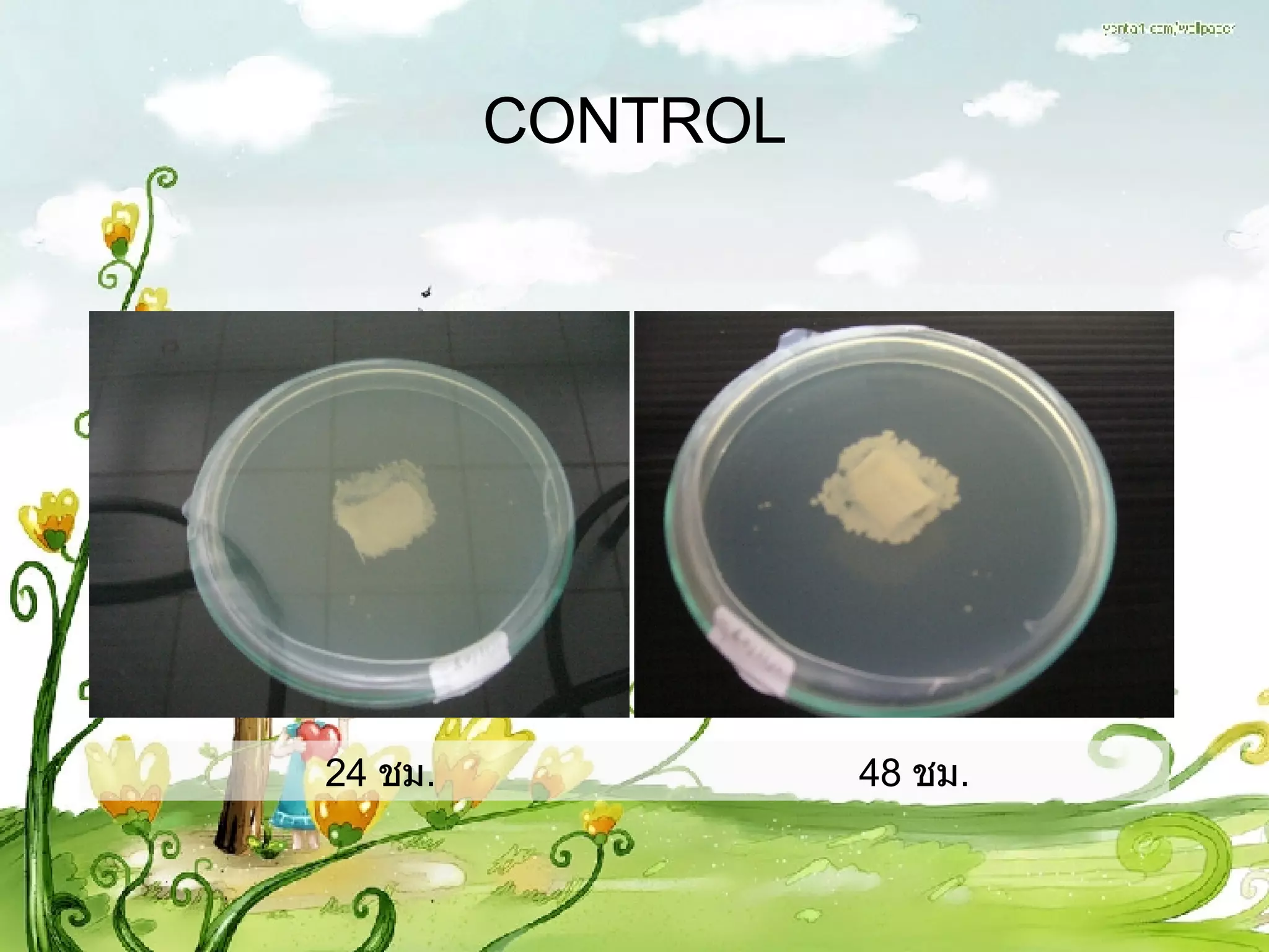 Some Properties Of Cotton Chitosan And Chitosan Xanthate | PPT