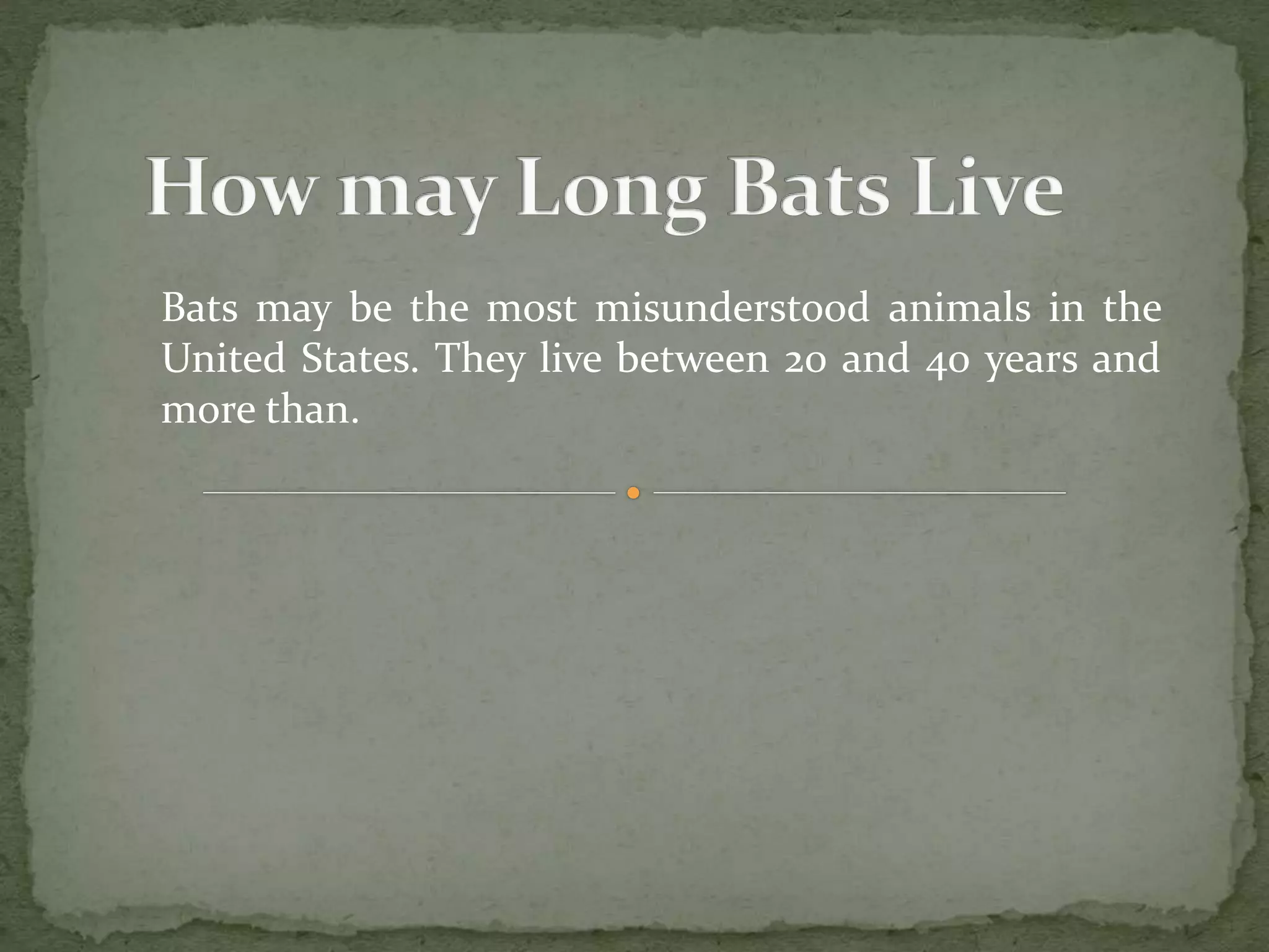 Some basic facts about bats | PPT